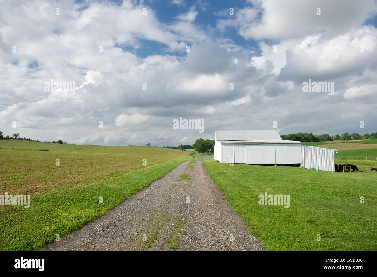 Gravel road path leading into a farm Stock Photo - Alamy