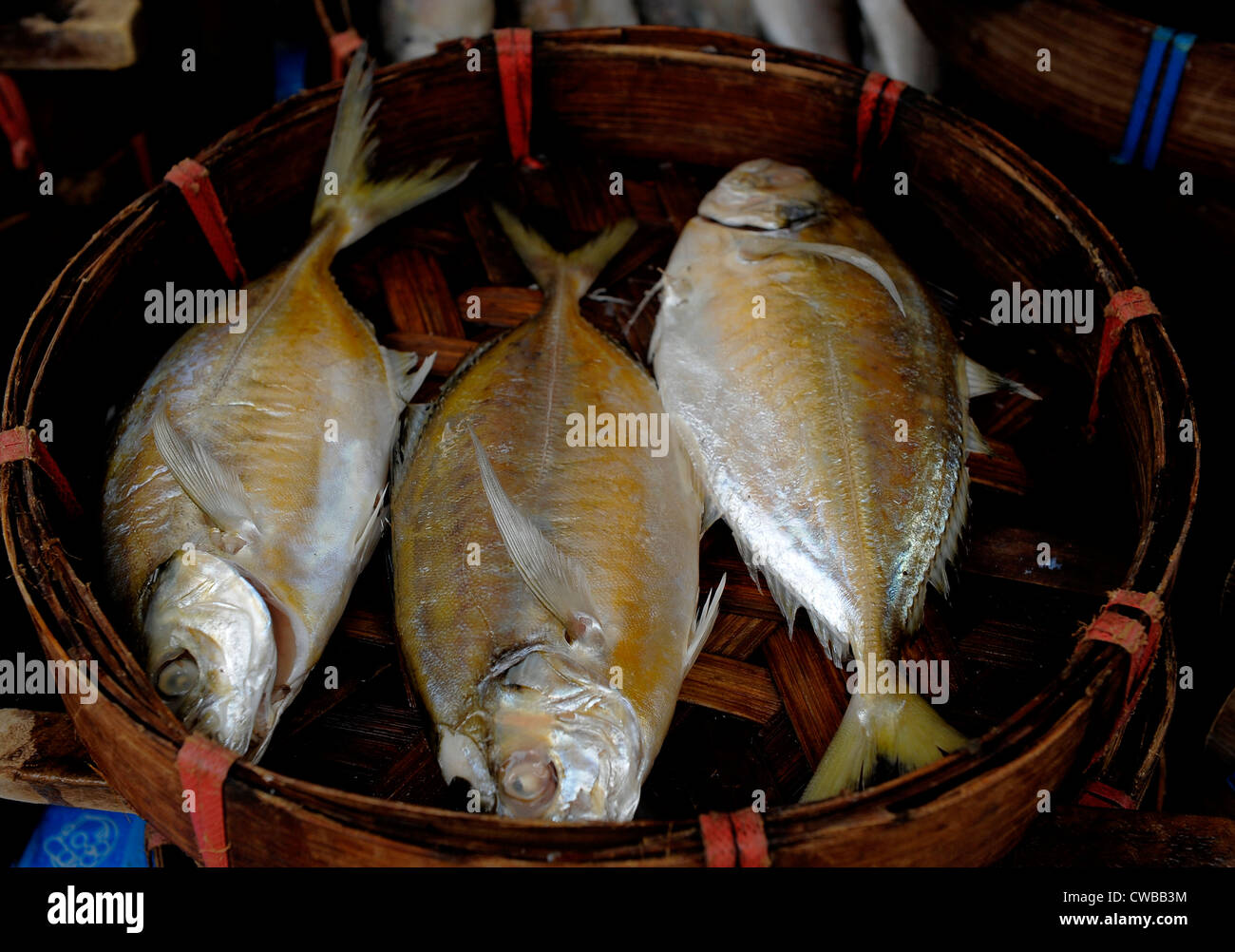 pla si goon (YELLOW STRIPE TREVALLY), steamed fish for sale at klong ...