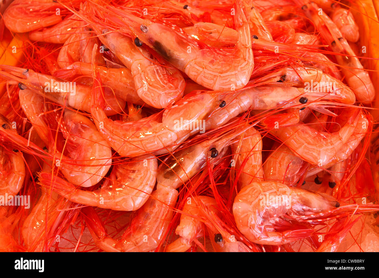 Fresh prawns for sale at the dock in Steveston, an historic fishing ...
