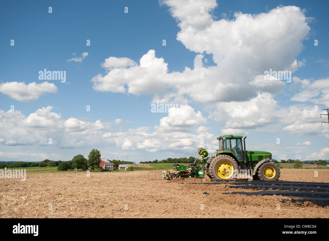 Rows of crops on farm Stock Photo - Alamy