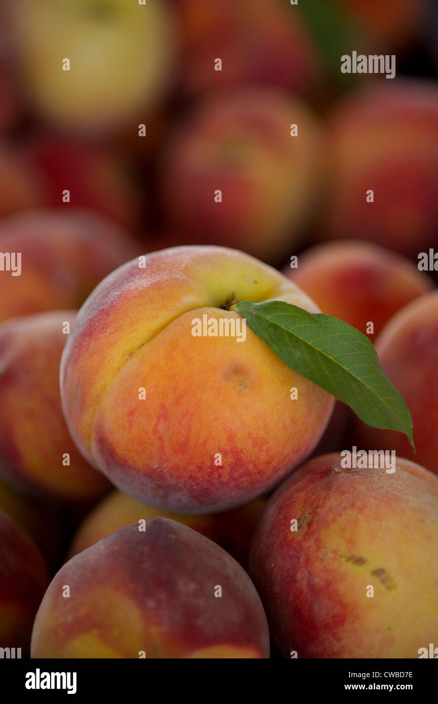 Eastern Shore Virginia peach at a farmer's market Stock Photo - Alamy
