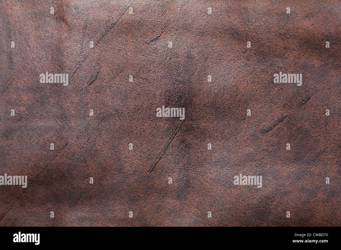 Leather texture with stitch hi-res stock photography and images - Alamy