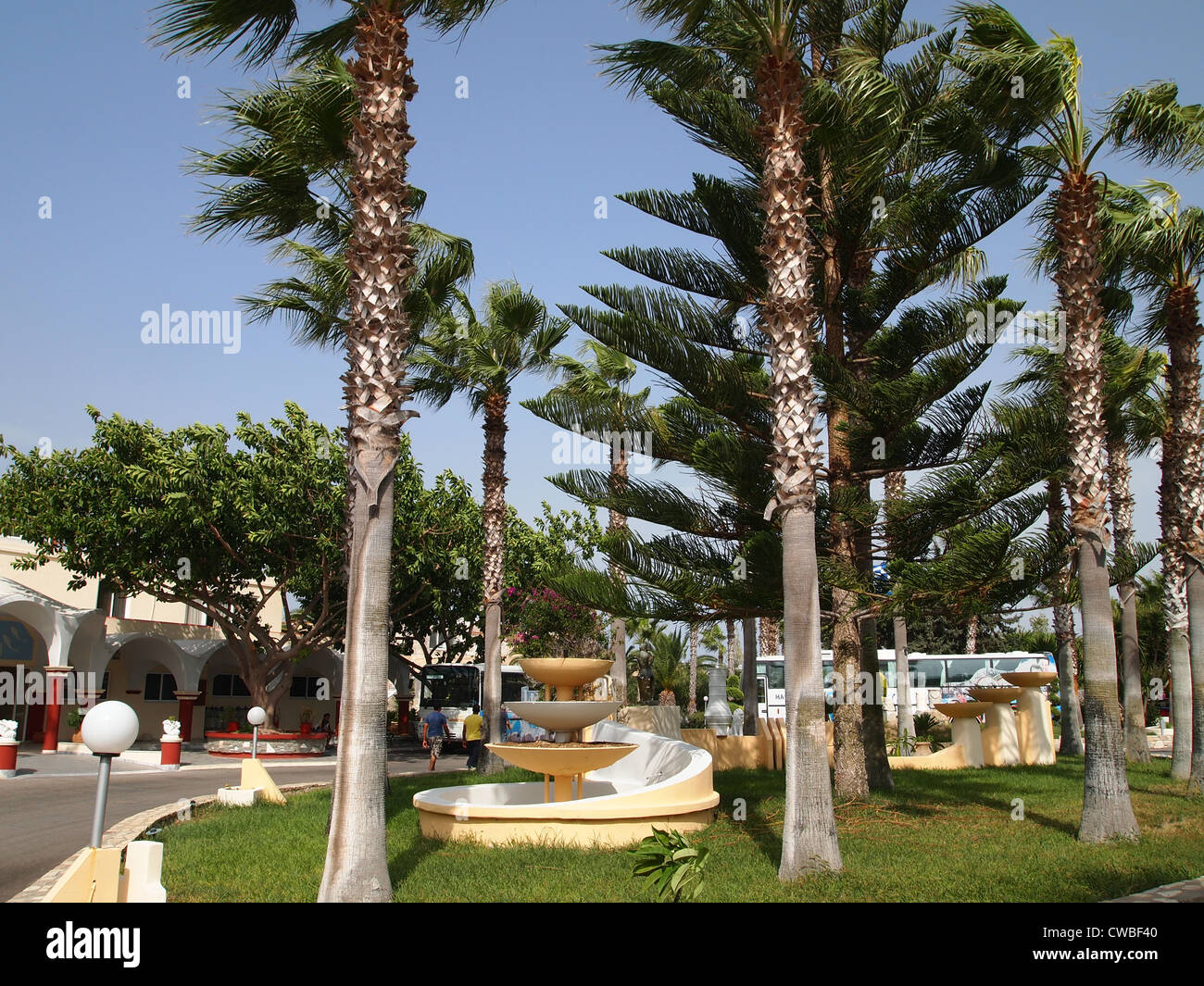 Lots of trees in a park Stock Photo - Alamy