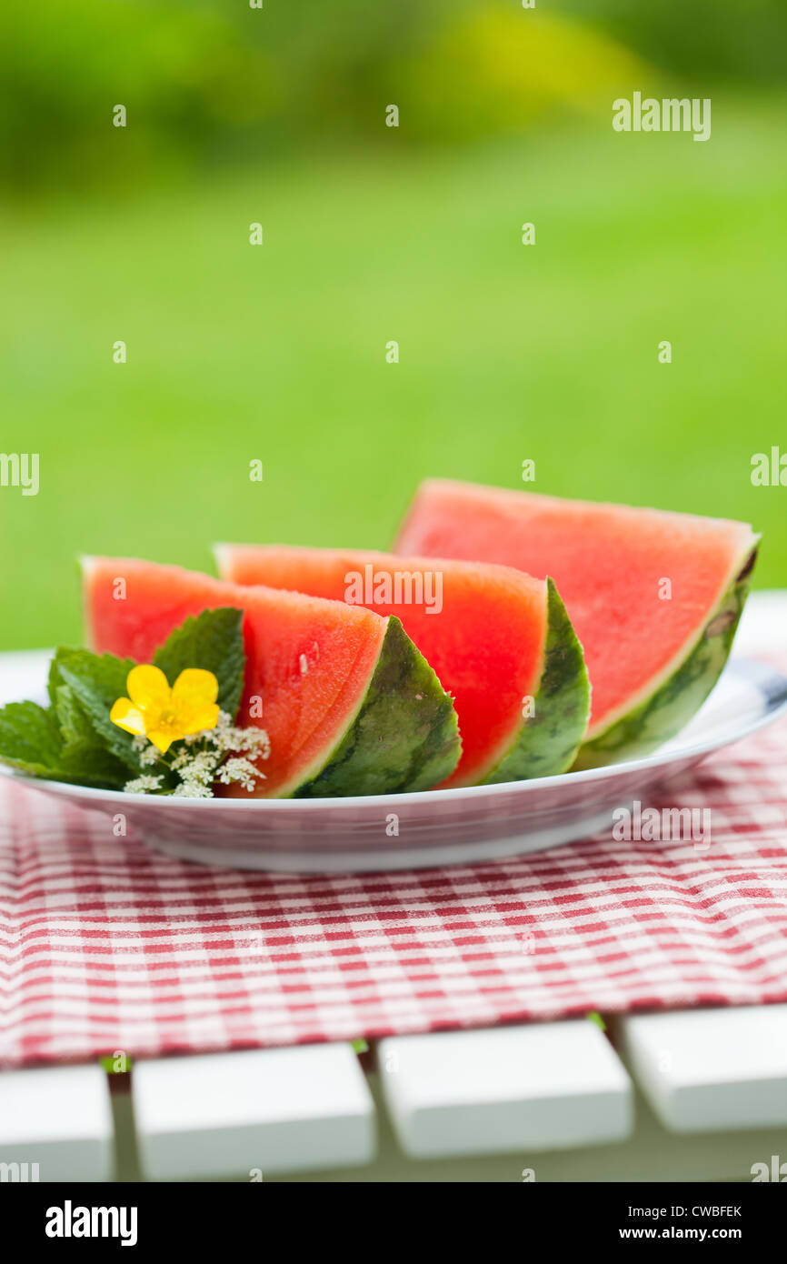 Watermelon flower High Resolution Stock Photography and Images - Alamy
