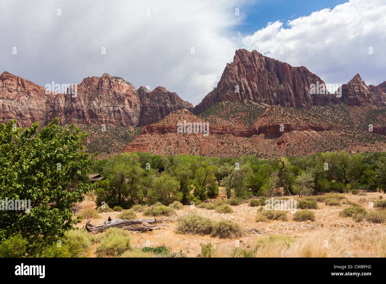 Beautiful desertic landscape of utah in the USA Stock Photo - Alamy