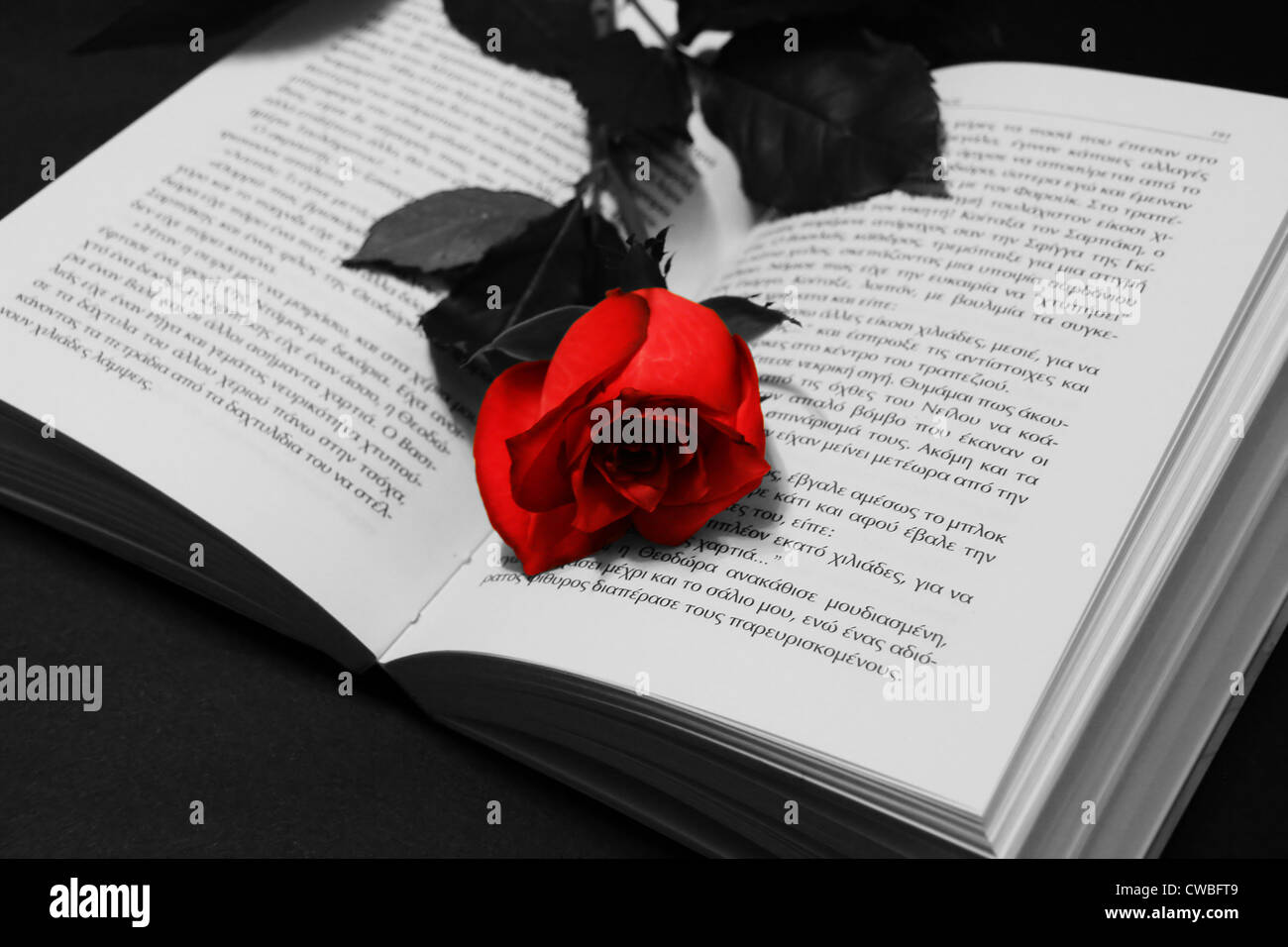 Book paper rose hi-res stock photography and images - Alamy