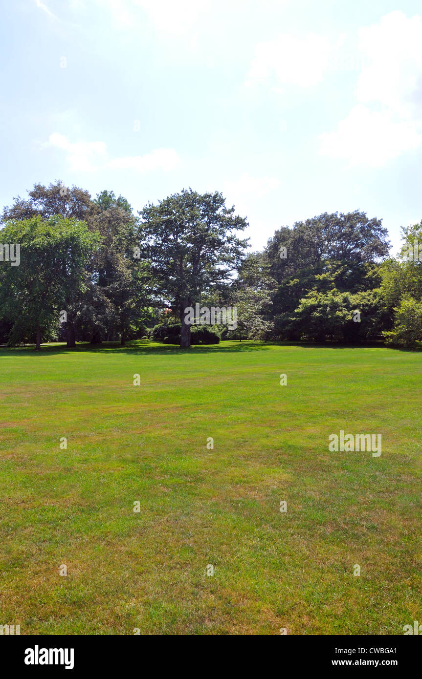 Lawn and trees, New England, USA Stock Photo - Alamy