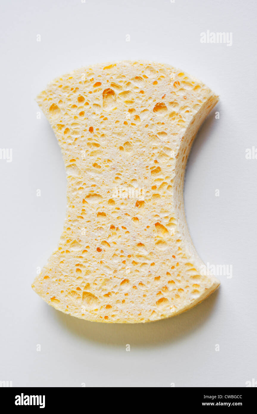 Natural cellulose sponge Stock Photo - Alamy