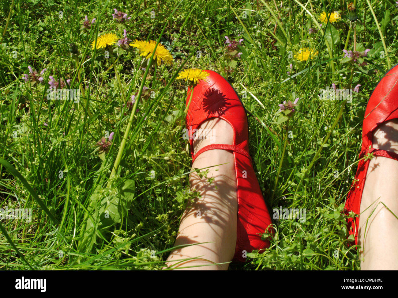Berlin woman lying on a flowery meadow Stock Photo - Alamy