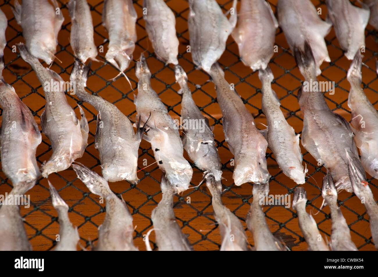 dry fish 4 Stock Photo - Alamy