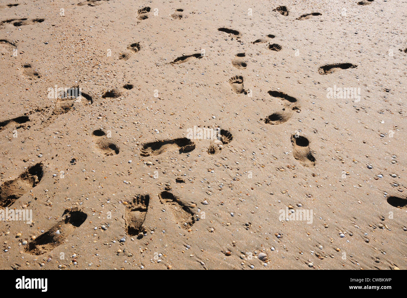 Footprints in sand hi-res stock photography and images - Alamy