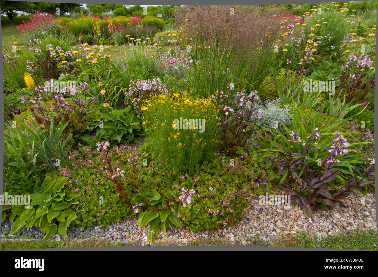 Perennial plants bed in Dendrological Garden, Czech Republic on August ...