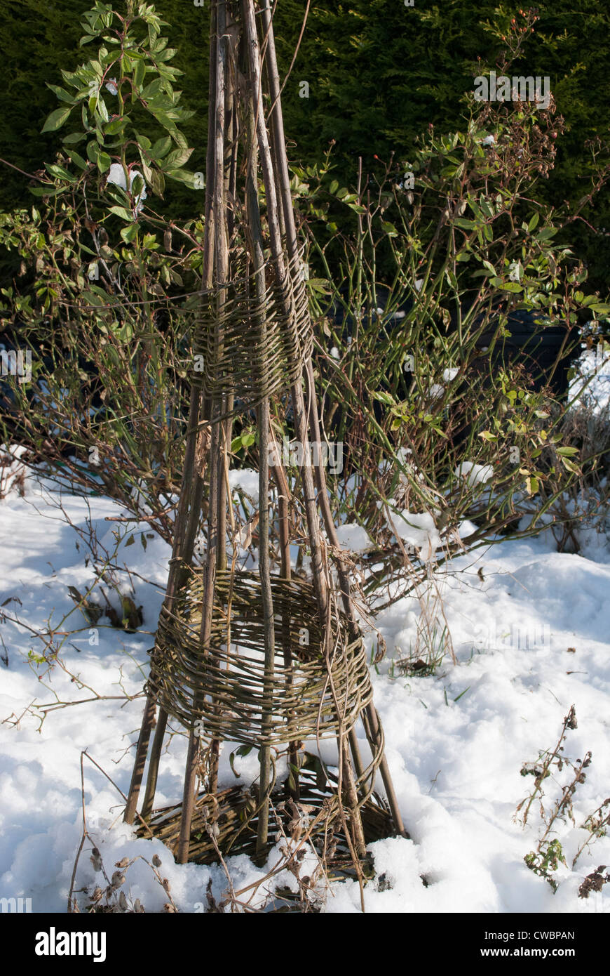 Pea can pyramid in snow covered garden Stock Photo - Alamy