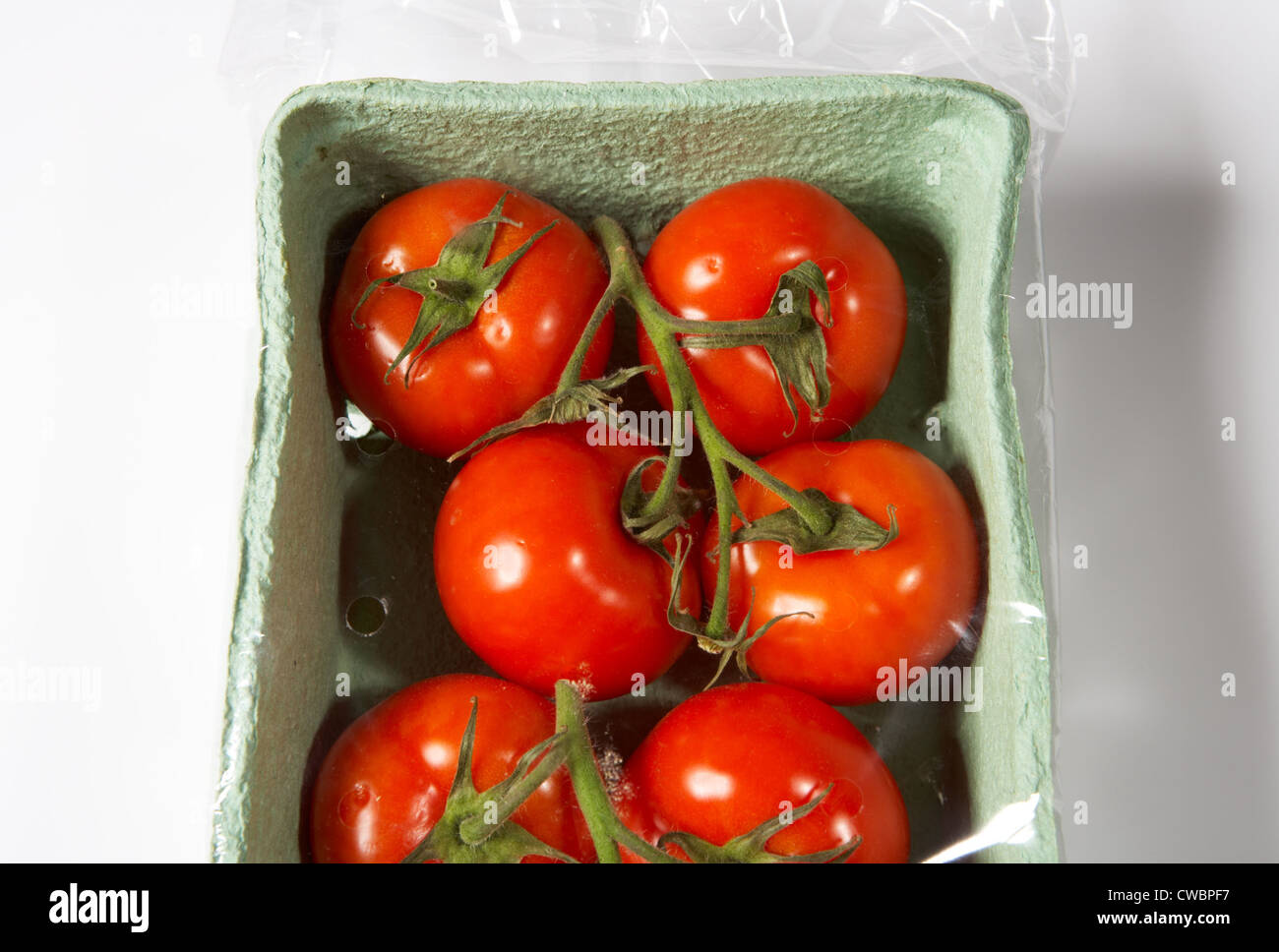 Vine tomatoes packed in a cardboard dish with foil Stock Photo - Alamy