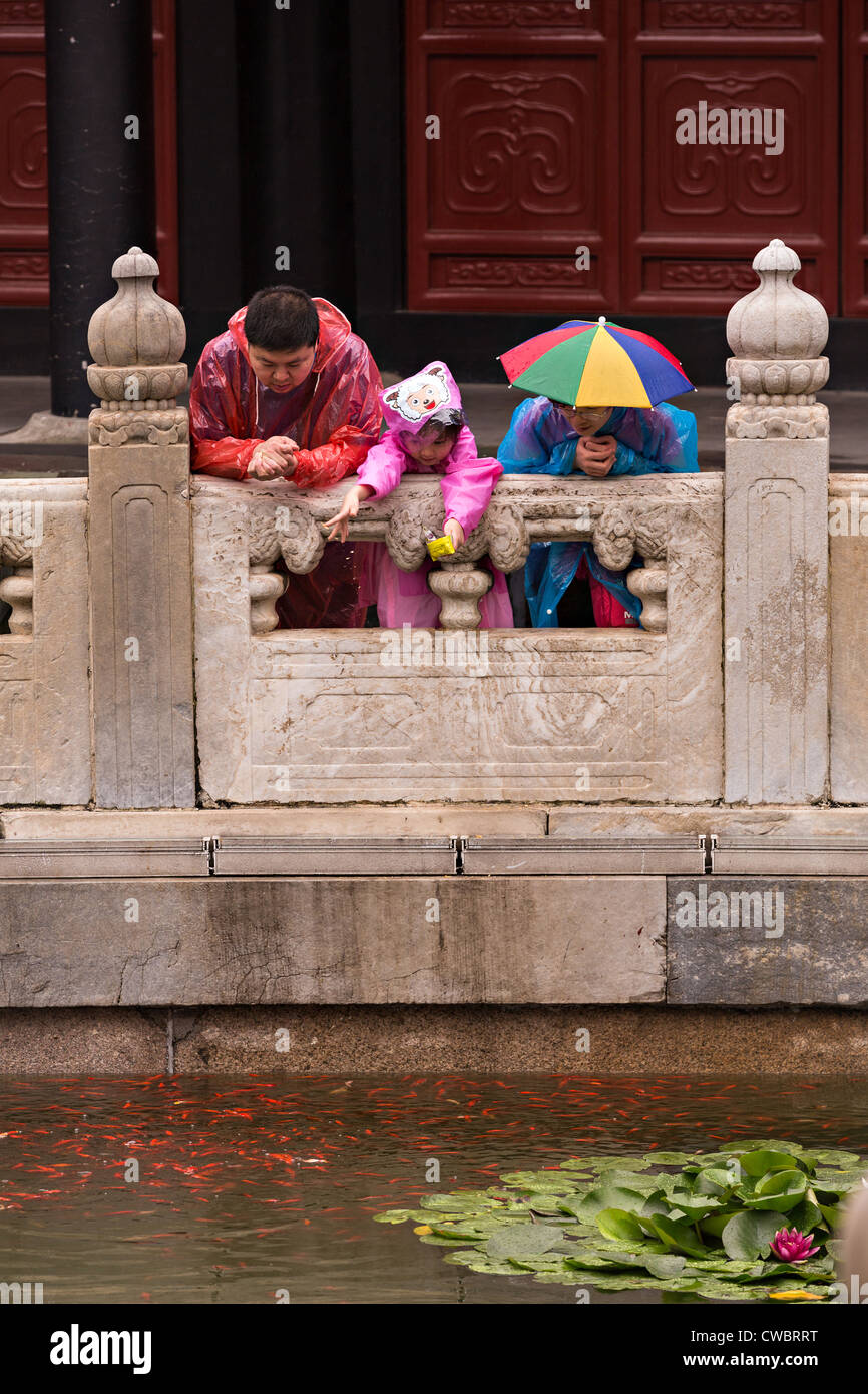 A child feeds Koi fish at theTemple of Confucius in Beijing, China ...