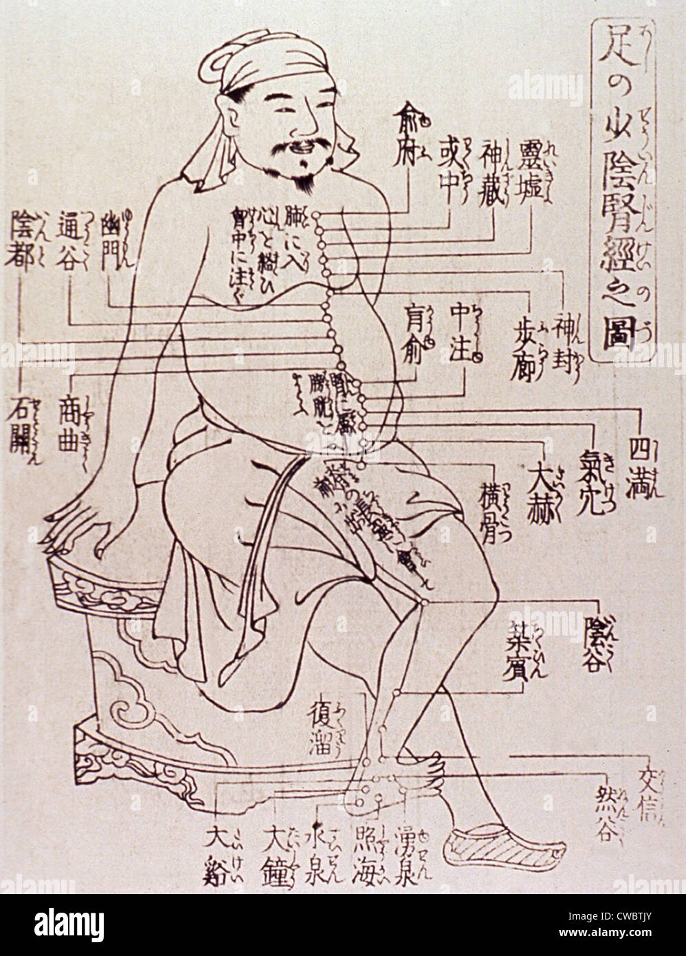 Acupuncture points on the torso and leg of the human body. Acupuncture ...