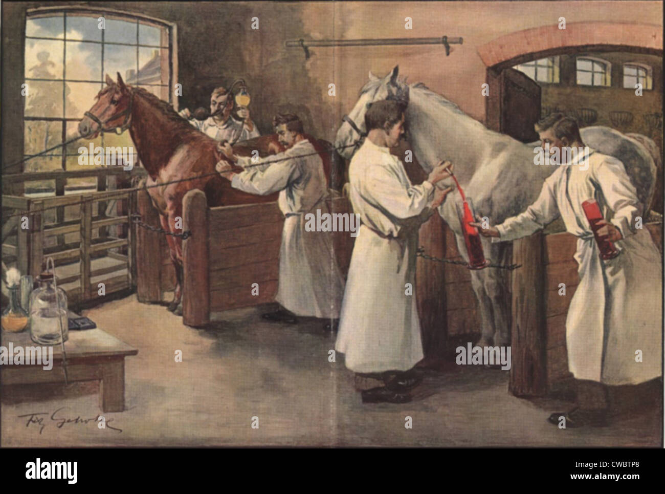 Diphtheria antitoxin was made by inoculating horses with diphtheria ...