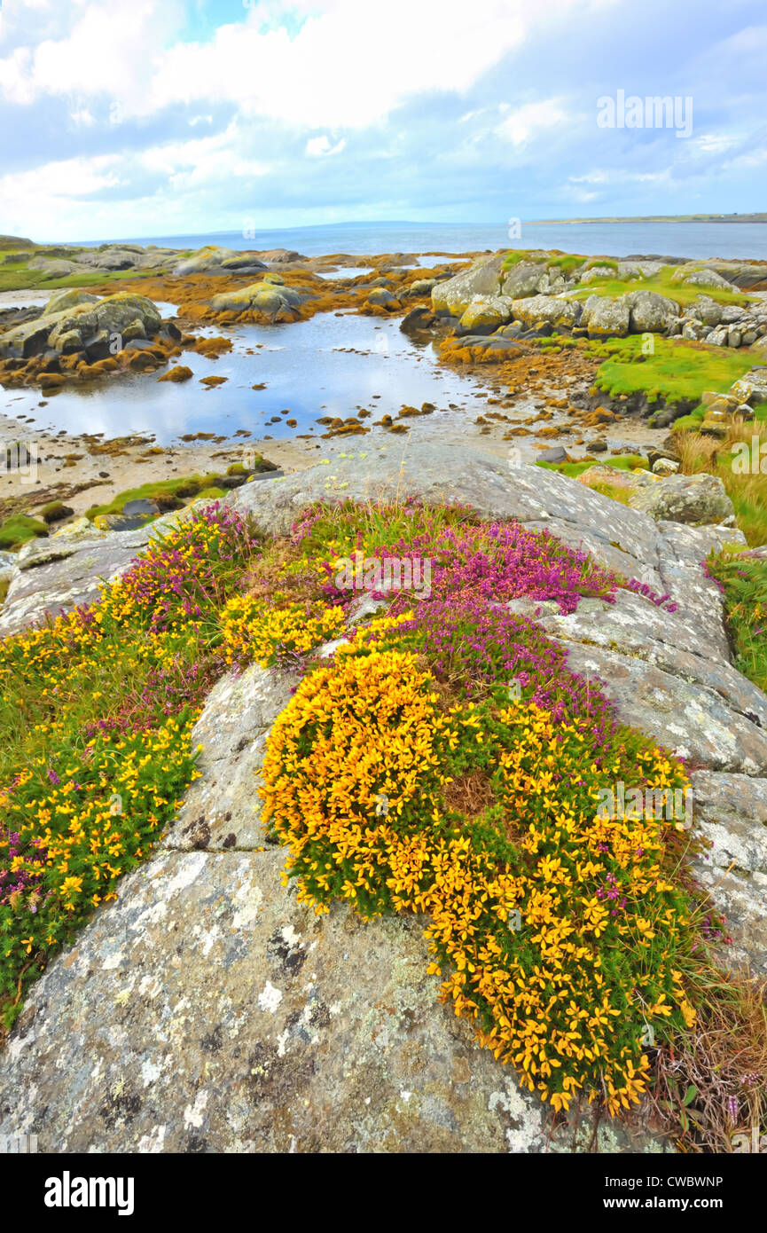 Traditional irish landscape hi-res stock photography and images - Alamy