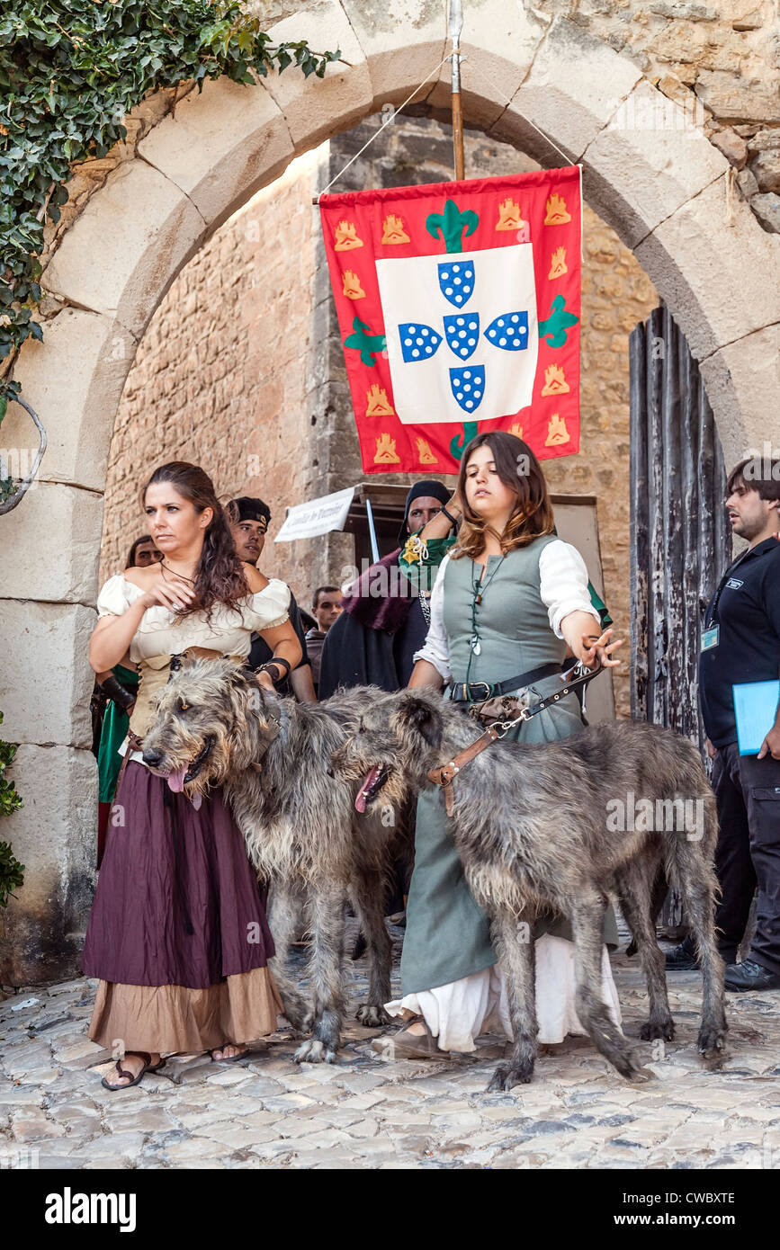 Irish Wolfhounds and Portuguese standard passing the castle gate in a ...