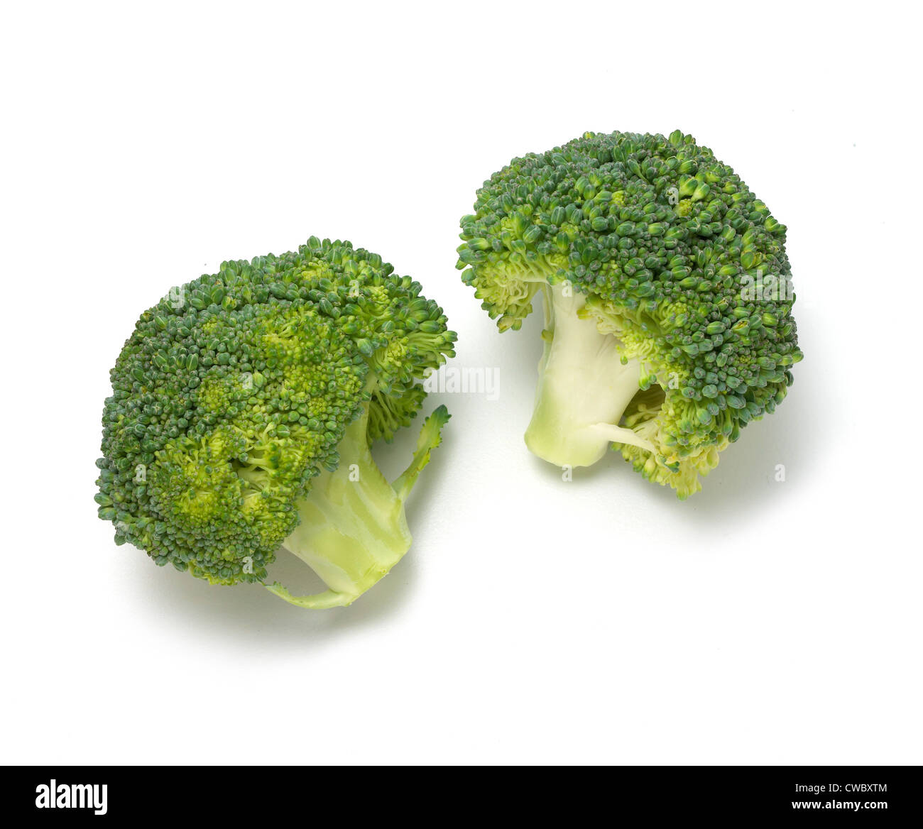 Two pieces of Broccoli Stock Photo - Alamy