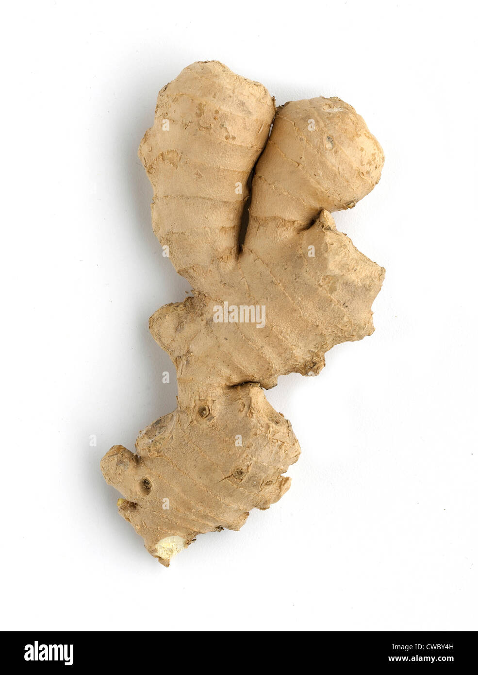 Piece of Ginger Stock Photo - Alamy