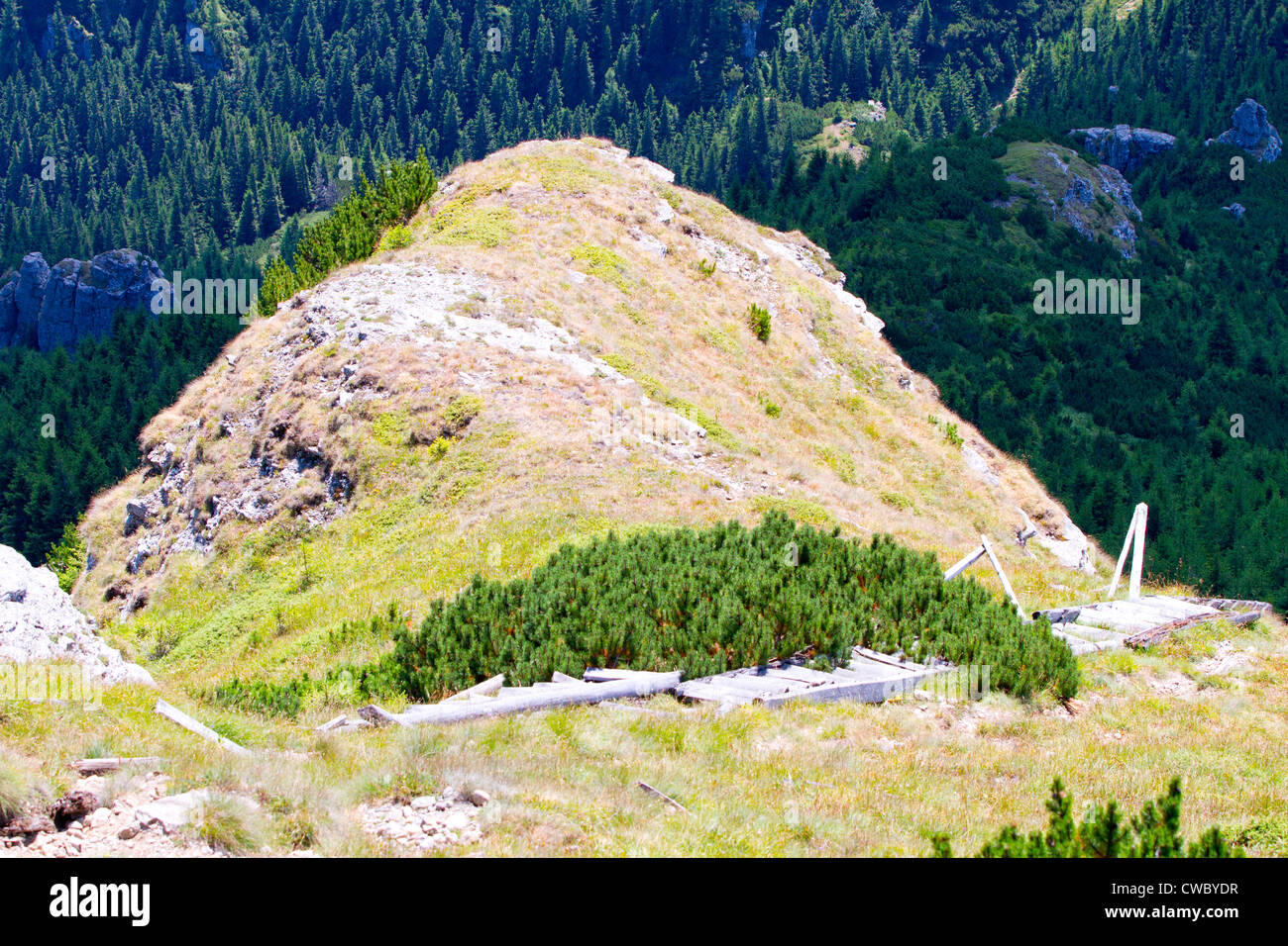 Toaca Peak (1904 m altitude), Ceahlău M Stock Photo - Alamy