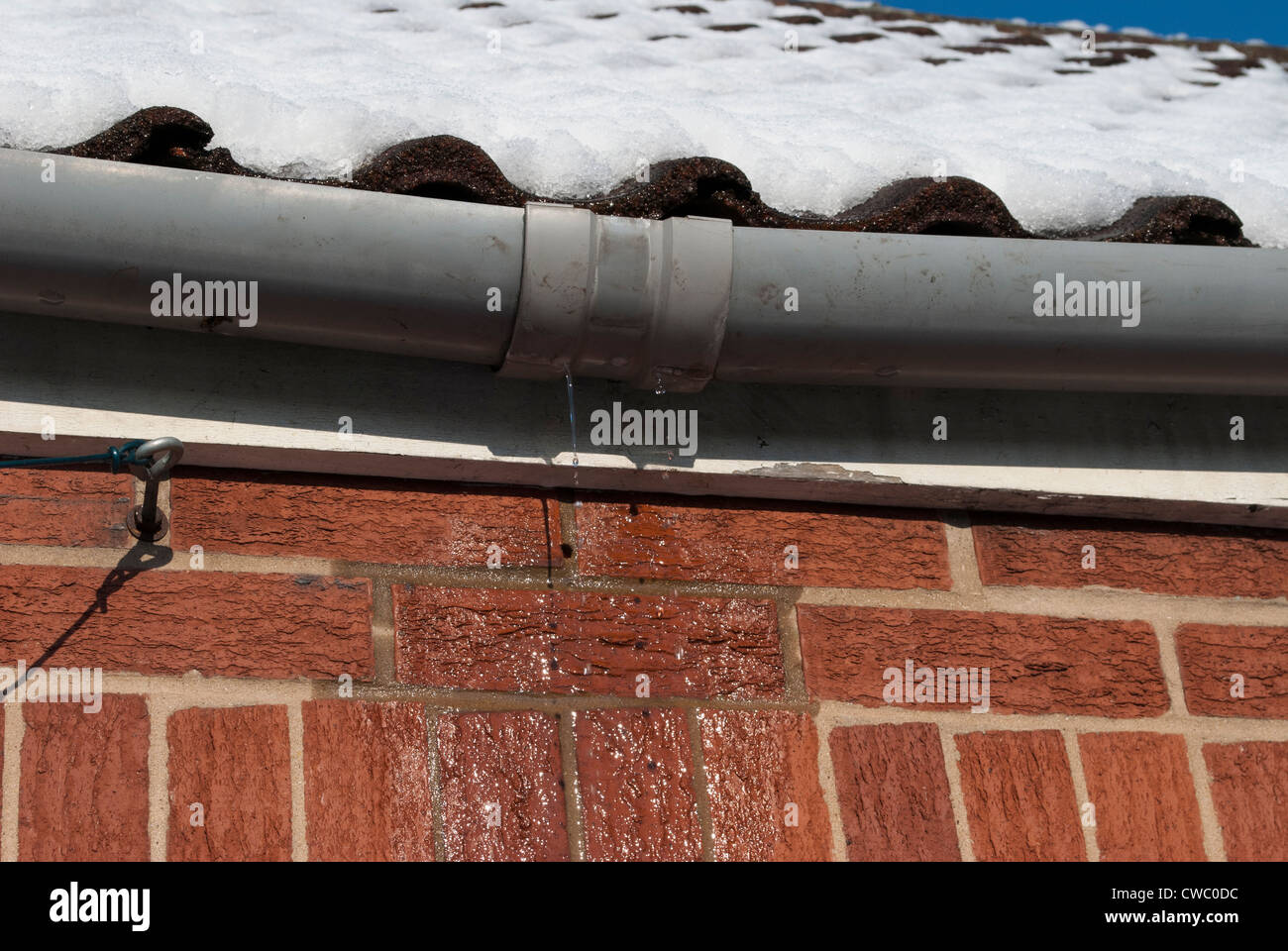 Water from melting snow on roof overflowing gutter and dripping down ...