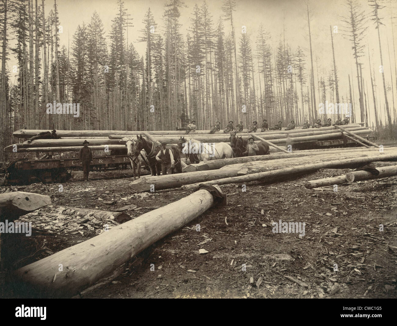 Lumber industry 19th century hi-res stock photography and images - Alamy