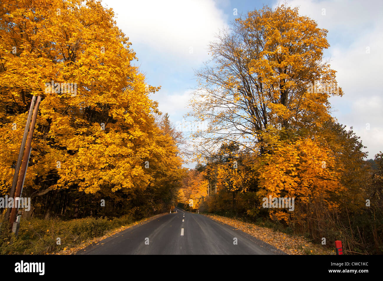 Empty road with fall color hi-res stock photography and images - Alamy