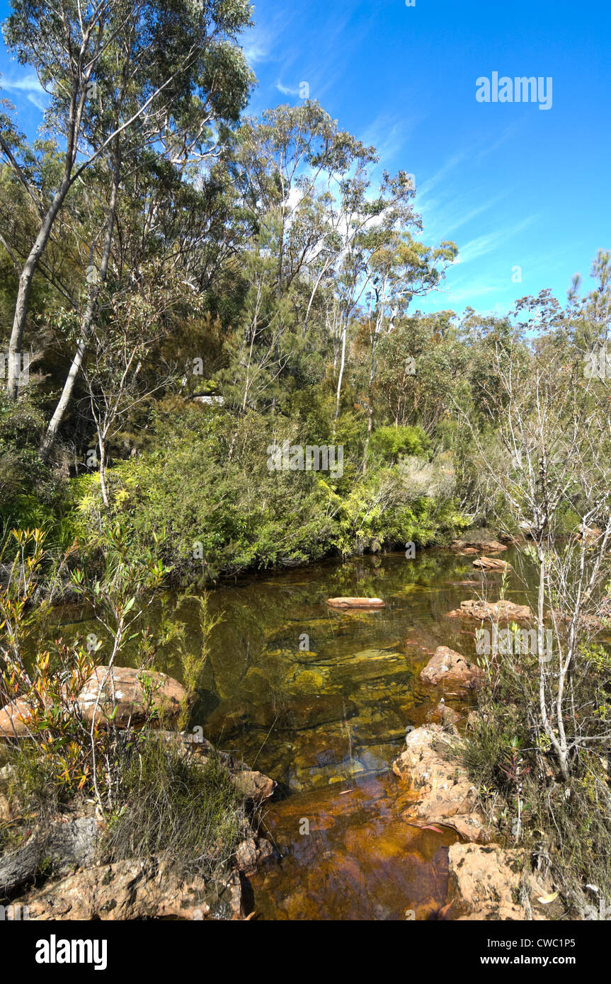 Winifred falls royal national park hi-res stock photography and images ...