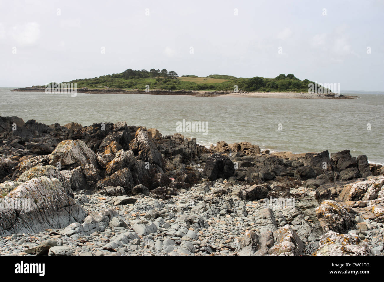 Ardwall Isle in Fleet bay Galloway Stock Photo - Alamy