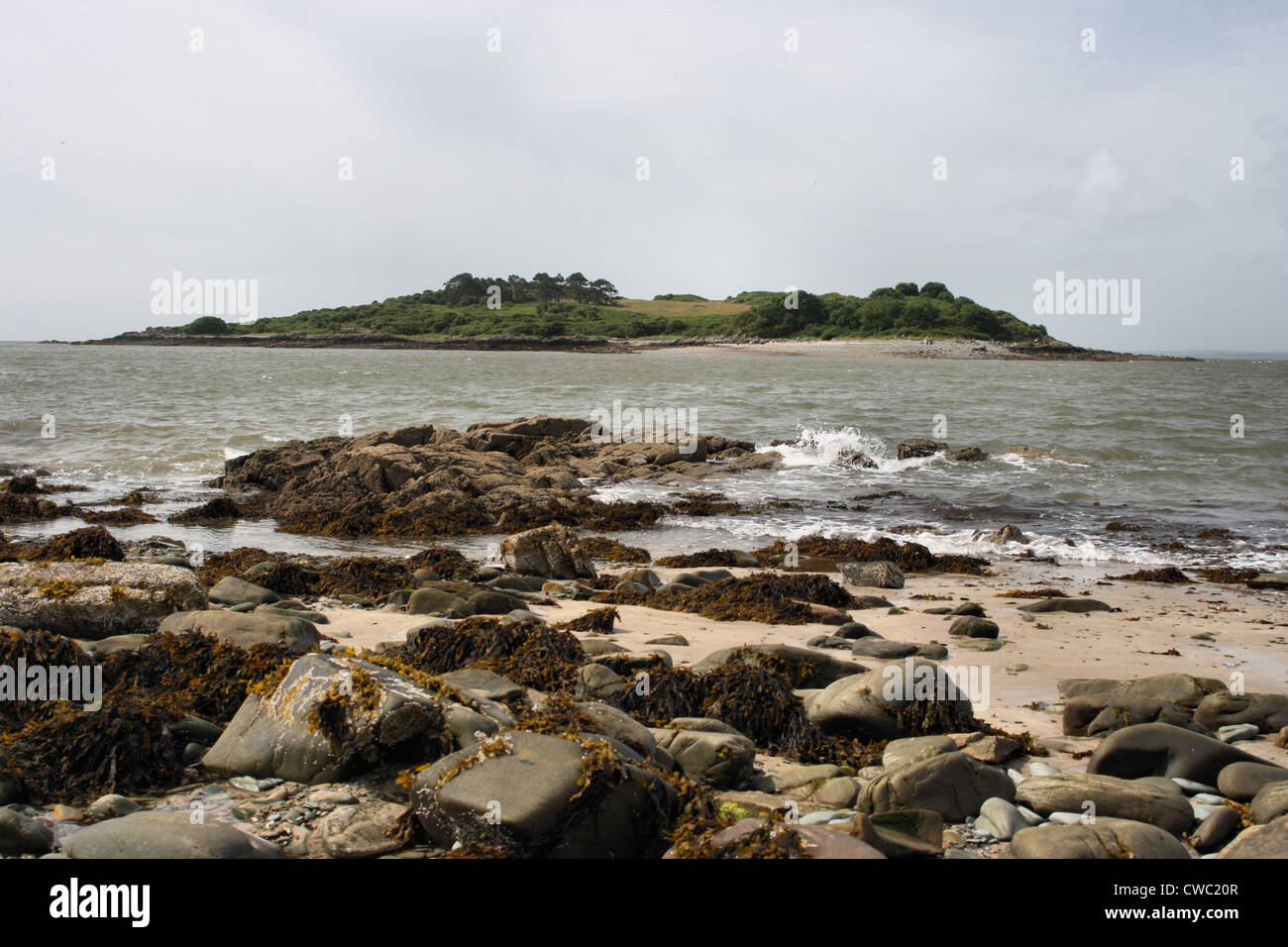 Ardwall Isle in Fleet bay Galloway Stock Photo - Alamy