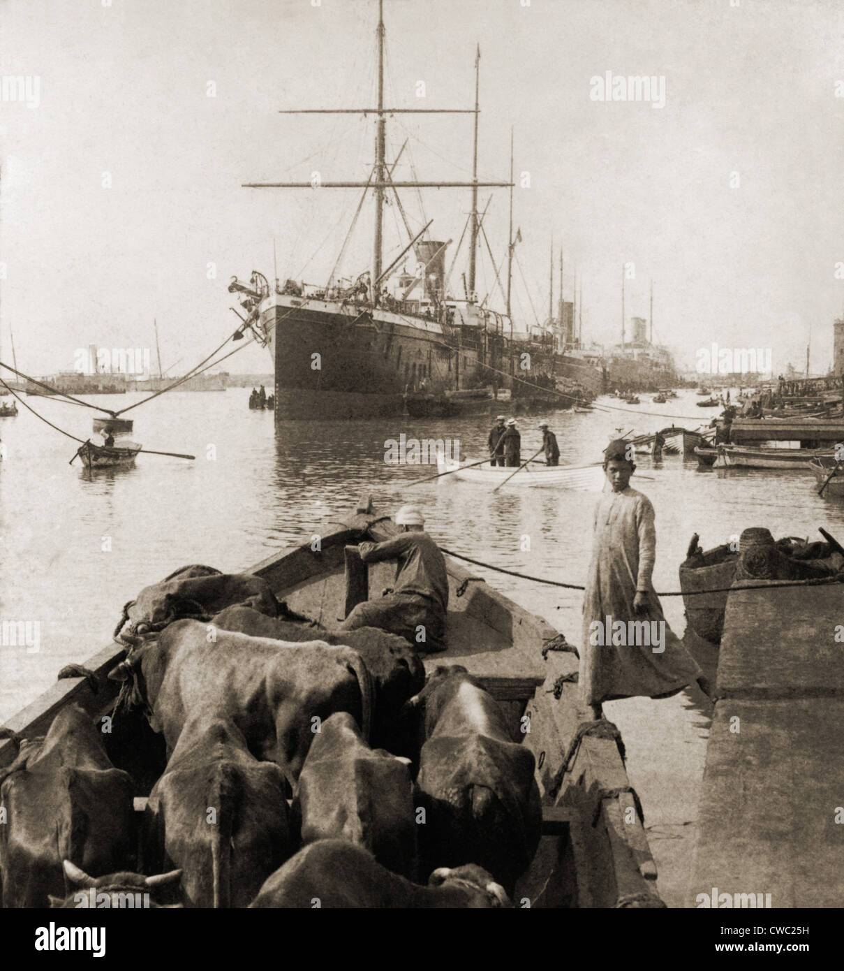 Cattle ships hi-res stock photography and images - Alamy