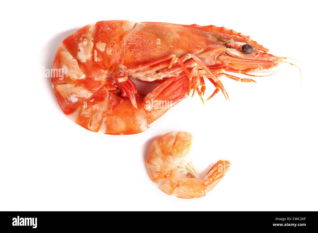 Red royal prawn Cut Out Stock Images & Pictures - Alamy