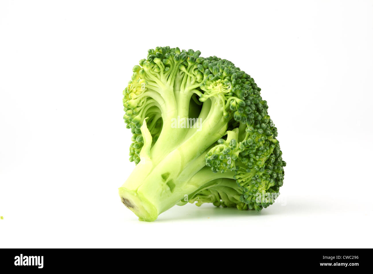broccoli isolated on white background Stock Photo - Alamy