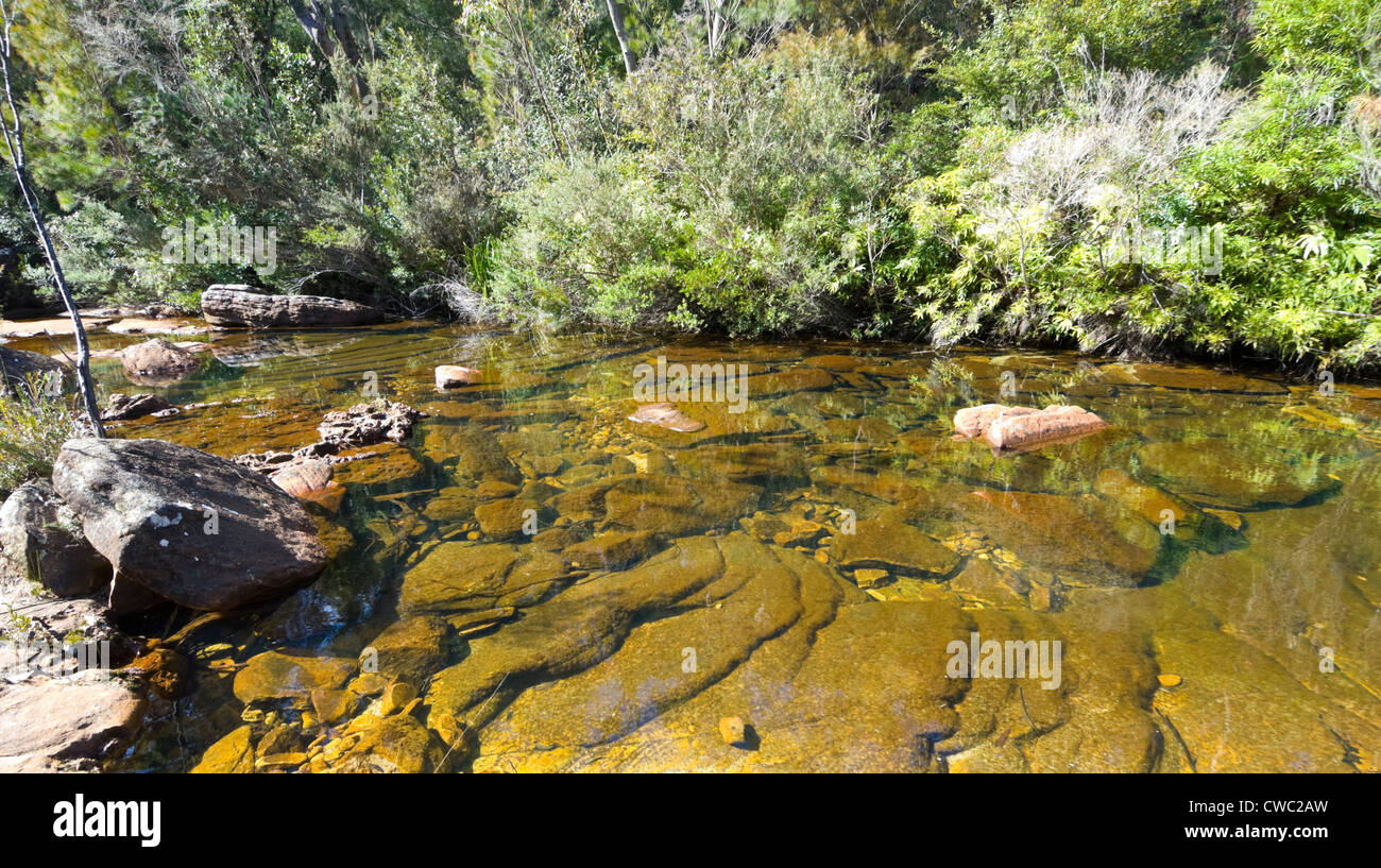 Winifred falls royal national park hi-res stock photography and images ...