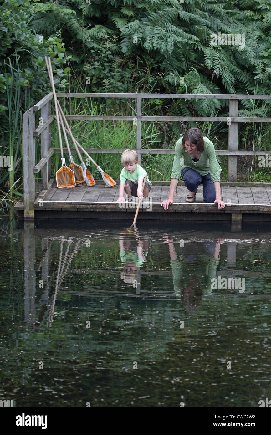 Pond nymphs hi-res stock photography and images - Alamy
