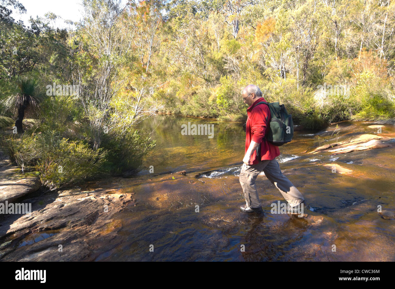 Walking The Royal National Park High Resolution Stock Photography and ...