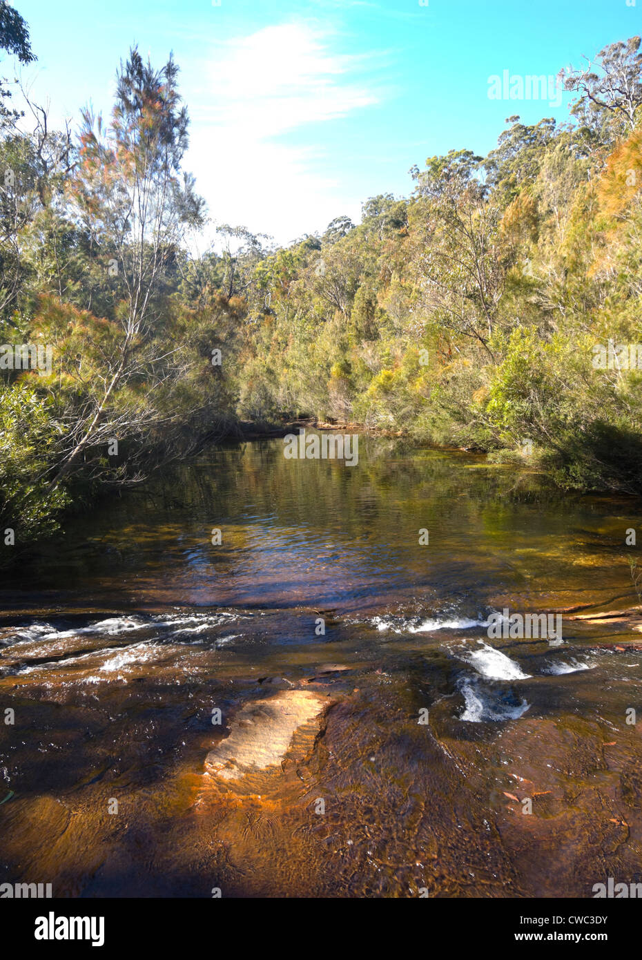 Winifred falls royal national park hi-res stock photography and images ...