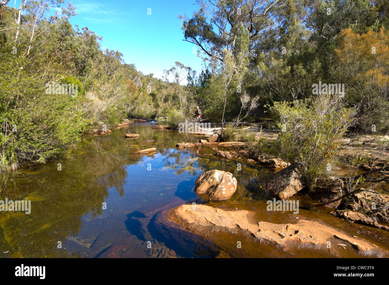 Winifred falls royal national park hi-res stock photography and images ...