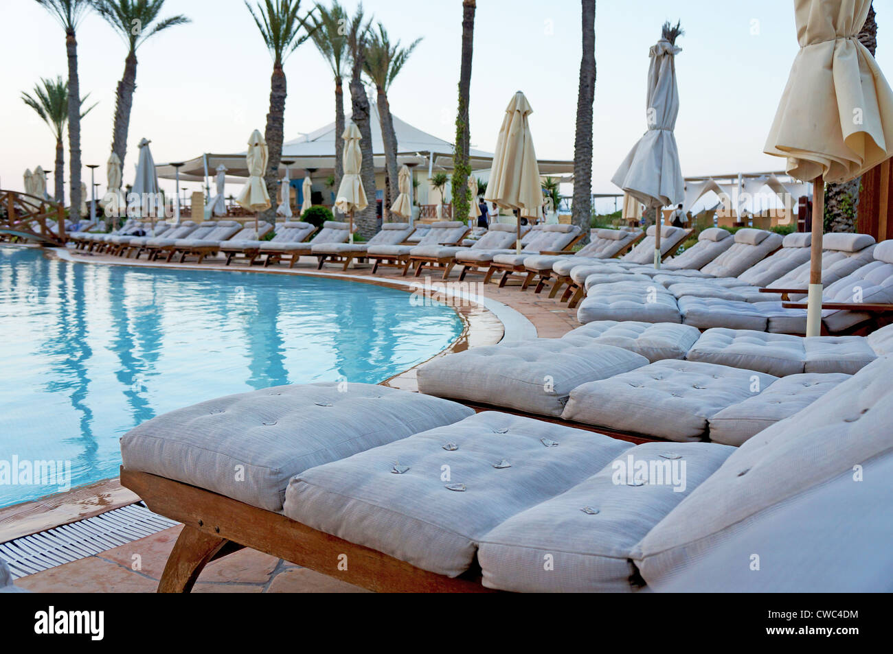 Row of empty sun loungers around a resort swimming pool Stock Photo - Alamy