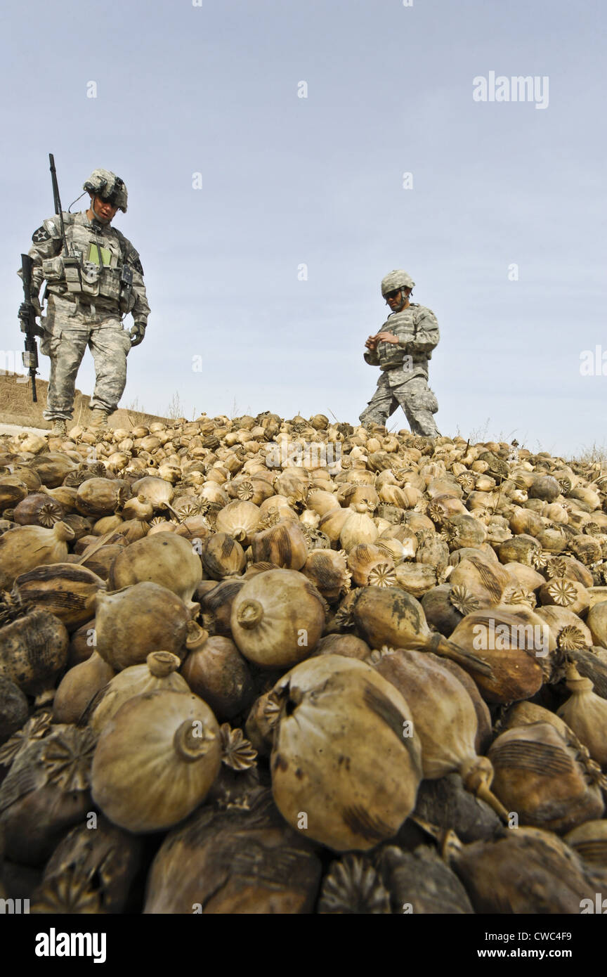 U.S. Army Colonel and his Afghan interpreter discover a pile of dried ...