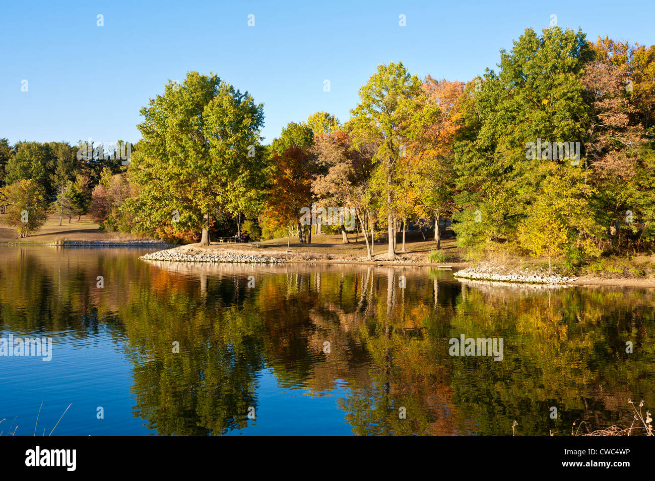 Colorful Autumn trees reflecting bright fall colors in lake in Southern ...
