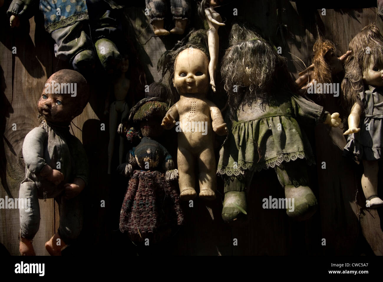 Dolls hang on a building on the Island of the Dolls in Xochimilco ...