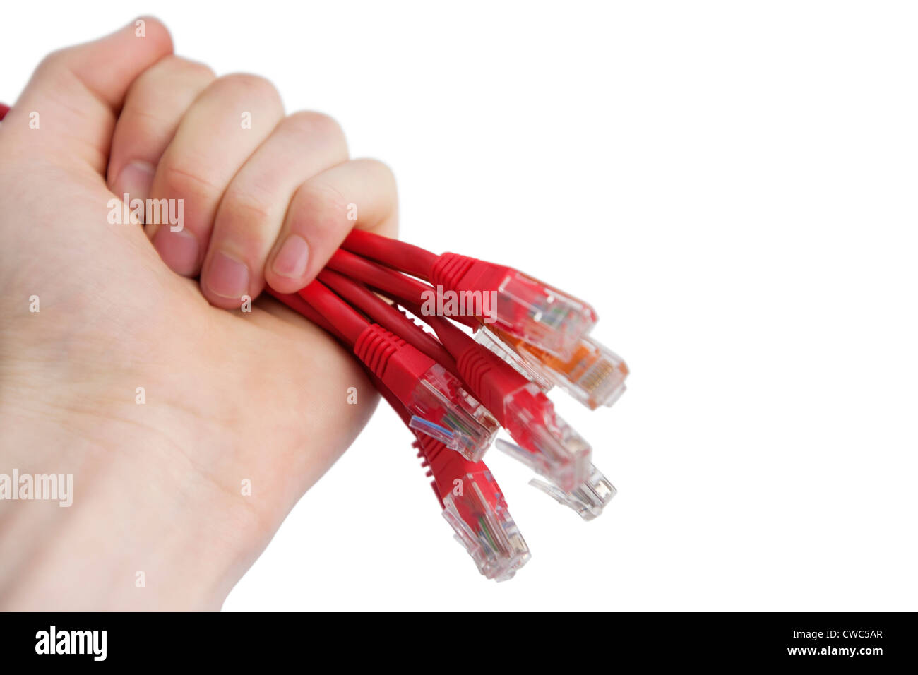 Cropped image of technician holding data cable plug over white ...