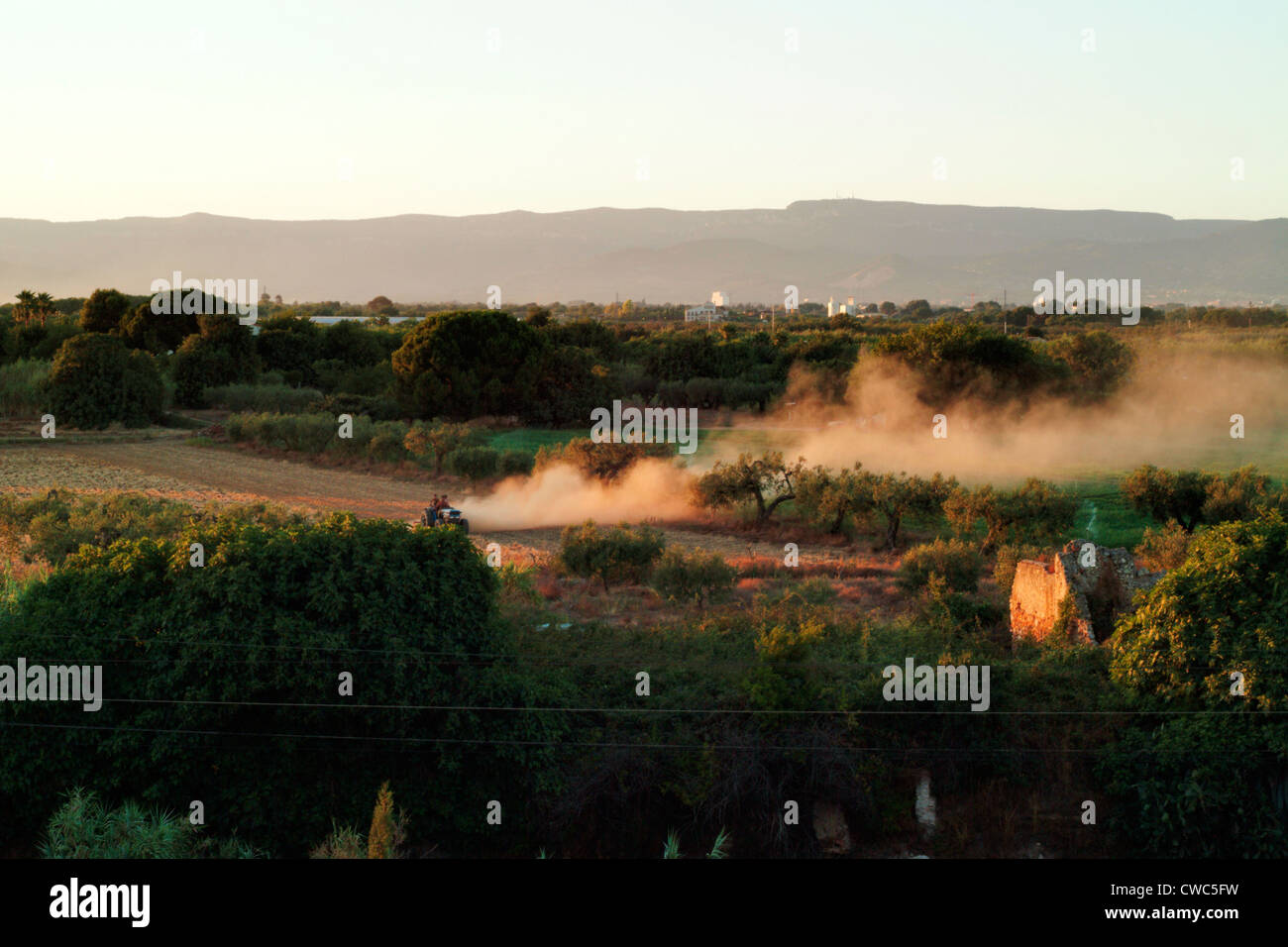 A Spanish farmer ploughs his field in the early evening Stock Photo - Alamy