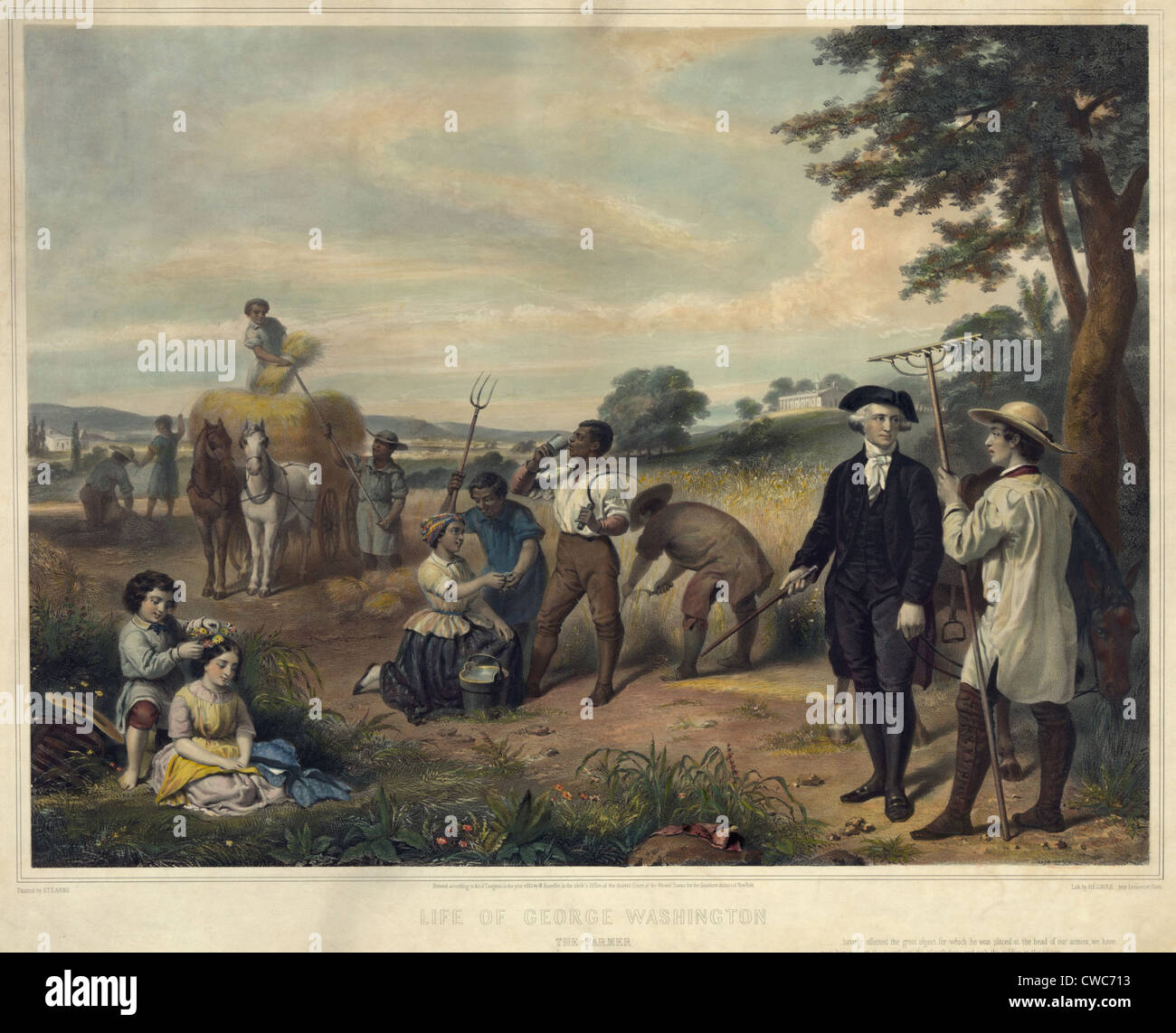 Slaves plantation hi-res stock photography and images - Alamy