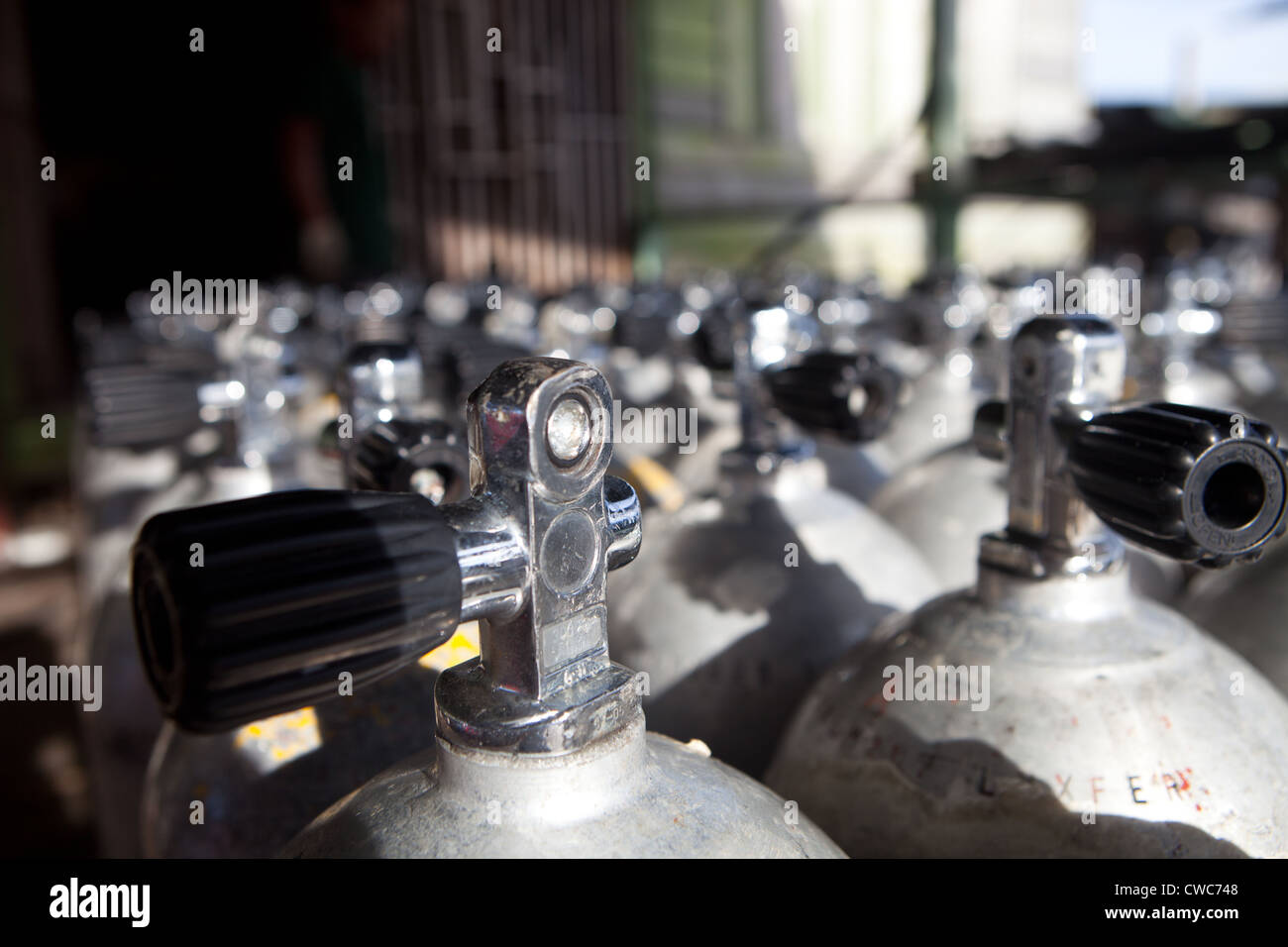 Scuba diving sport hi-res stock photography and images - Alamy