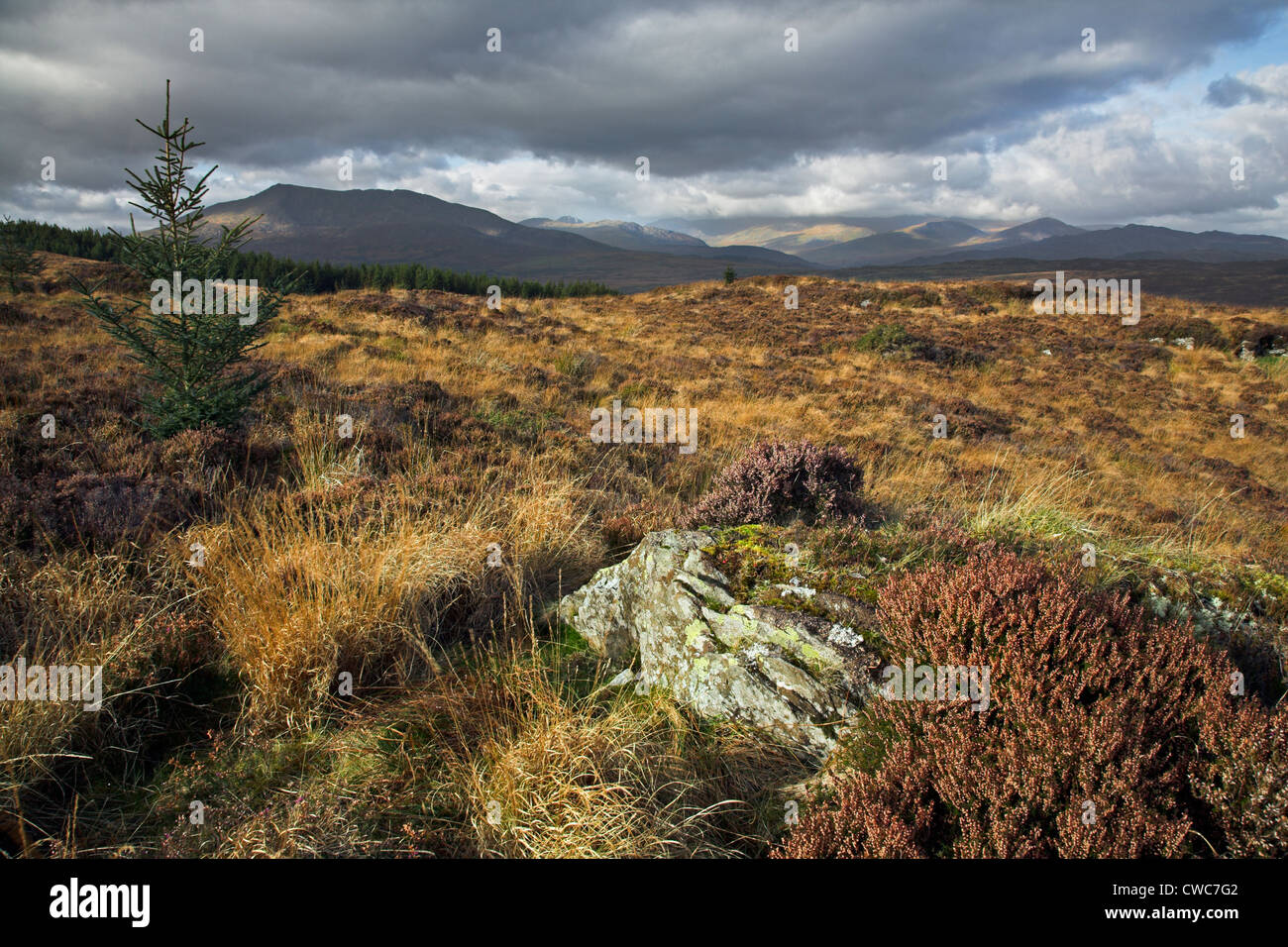 Penmachno hi-res stock photography and images - Alamy