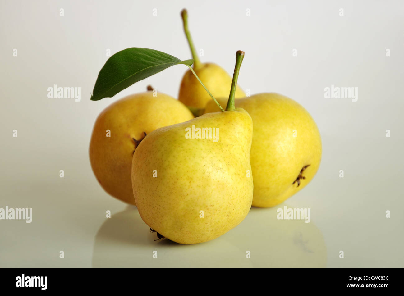 Rip williams hi-res stock photography and images - Alamy